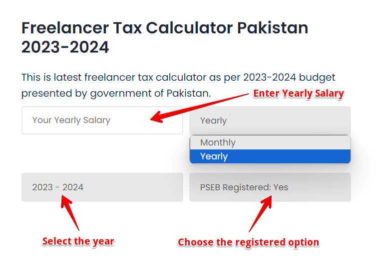 Pakistan Freelancer Tax Calculator 2024-25 | Advanced Tool